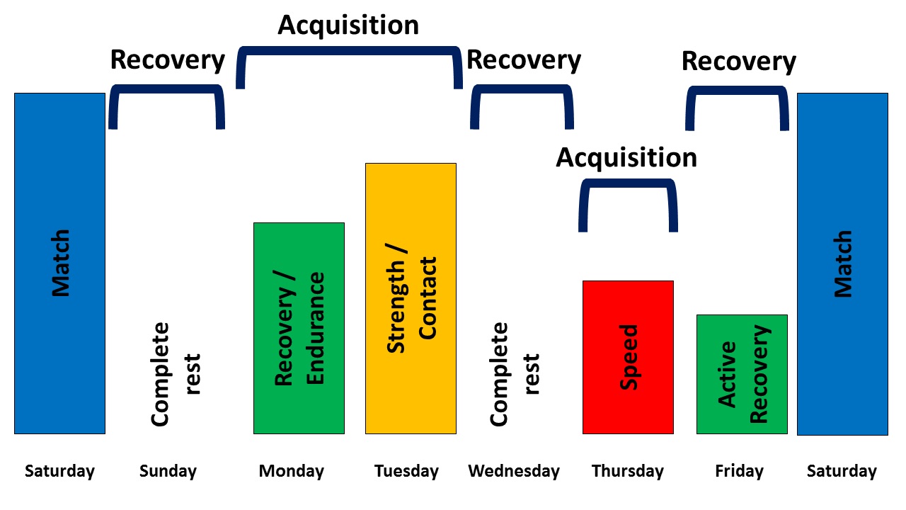 Blending science, art and coaching: Tactical periodization for rugby ...